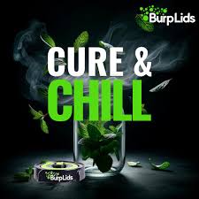 Burplids Curing Kits